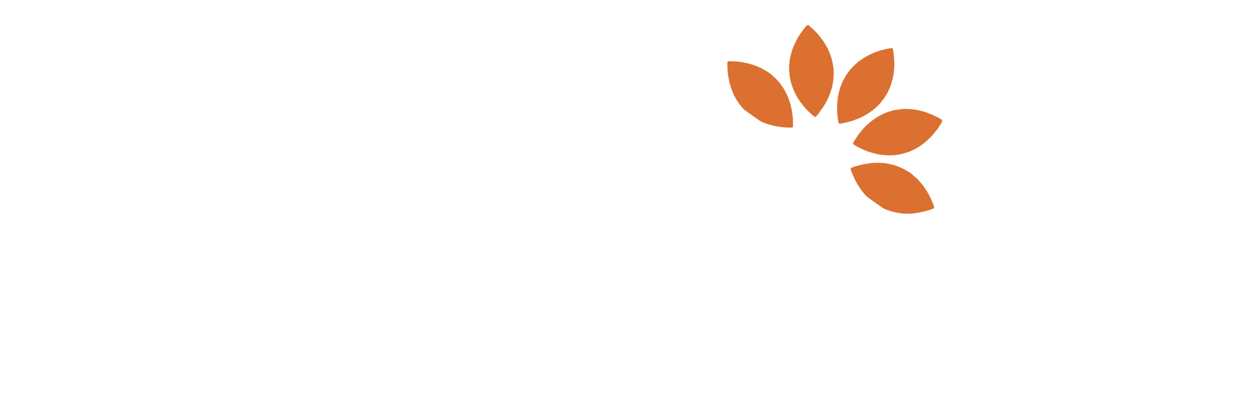 Tara Solutions